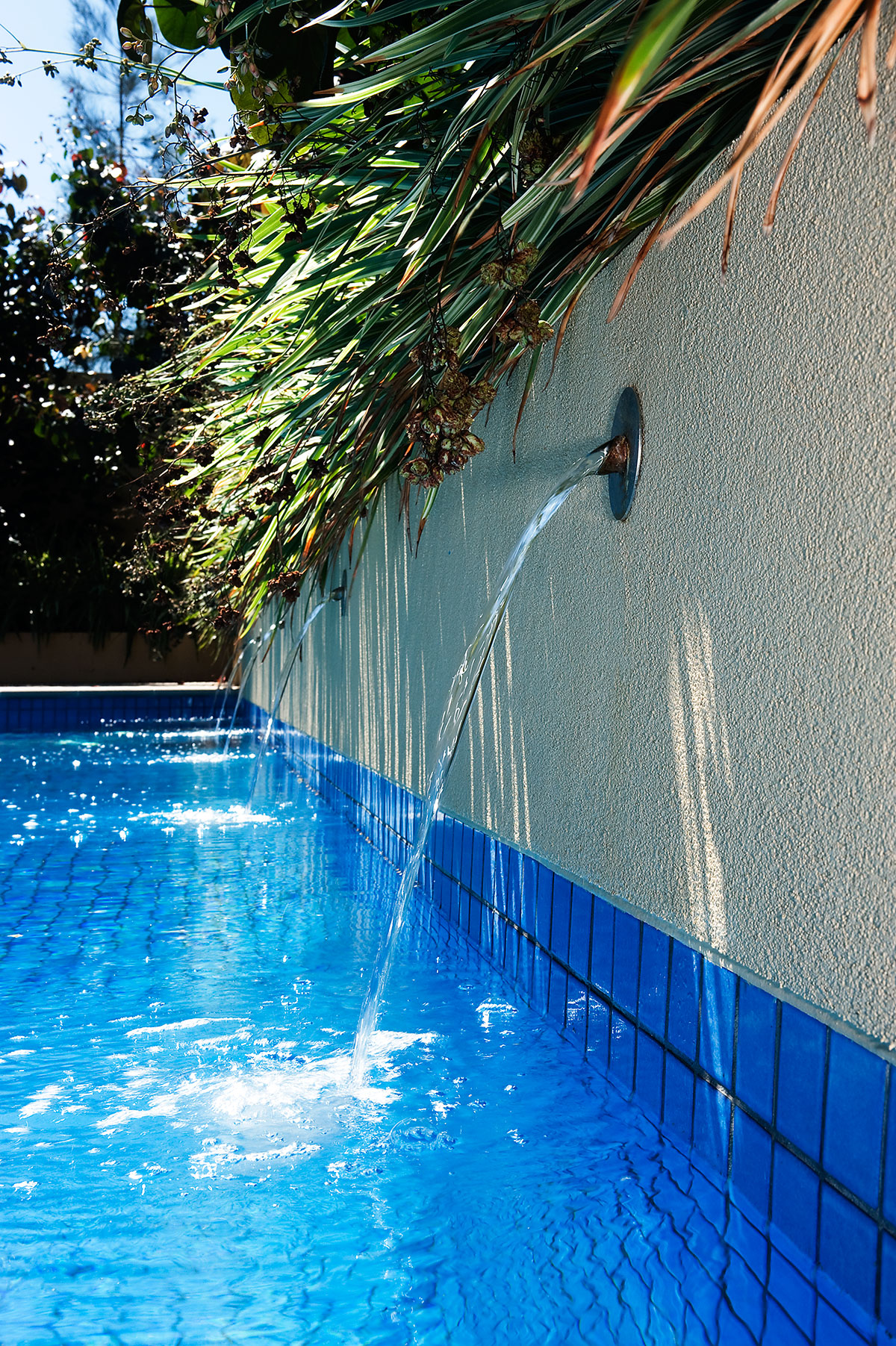 Walter – Mermaid Pools